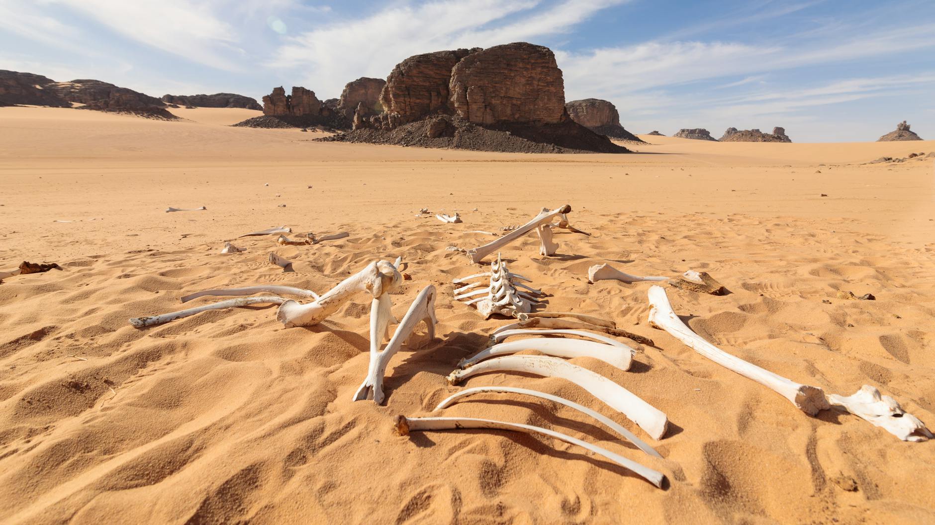 16. Dry bones... - Pausing with God